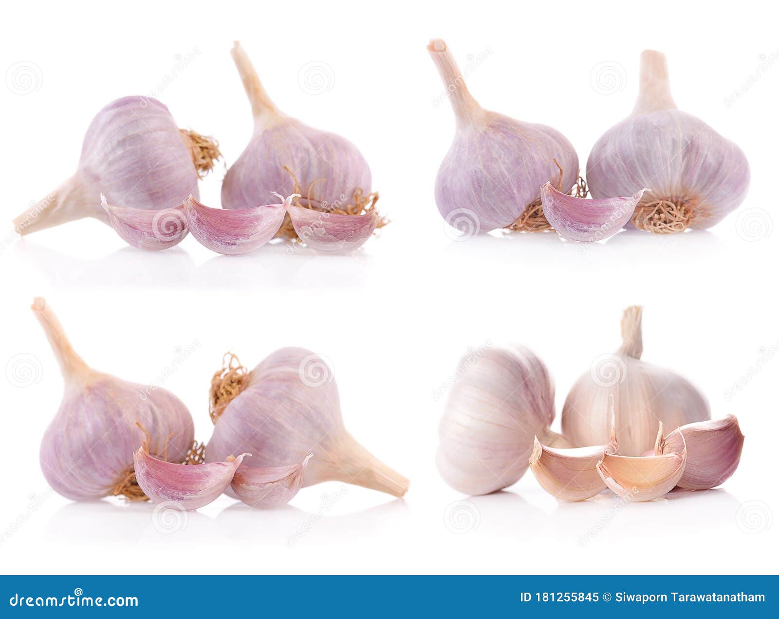 Garlic Isolated on White Background Stock Image - Image of bulb, garlic ...