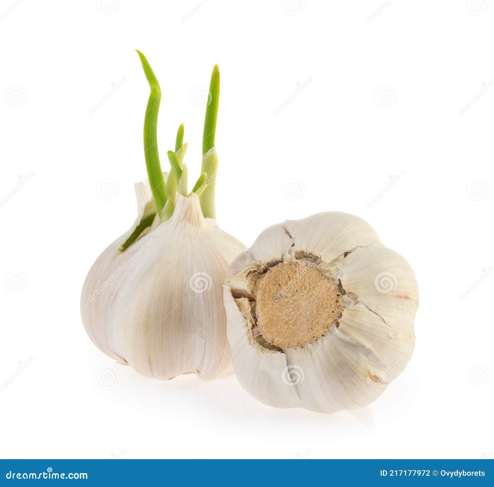 Garlic Isolated on White Background Stock Photo - Image of fresh, spice ...