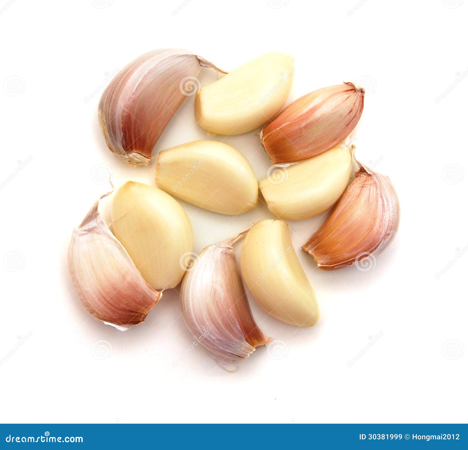 Garlic isolated stock image. Image of fresh, herb, freshness - 30381999