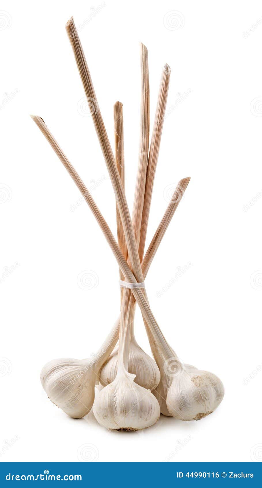 Garlic stock photo. Image of objects, vitamin, color - 44990116