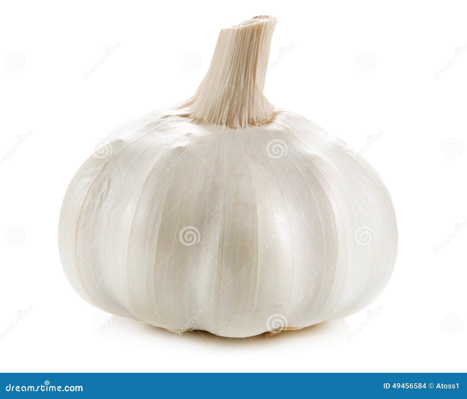Garlic isolated stock photo. Image of healthy, meals - 49456584
