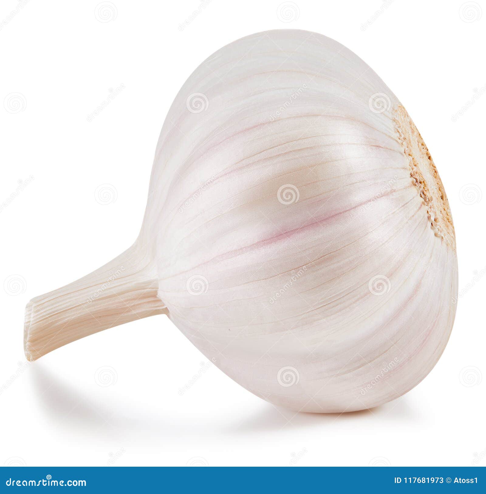 Garlic Isolated on white stock image. Image of leaf - 117681973