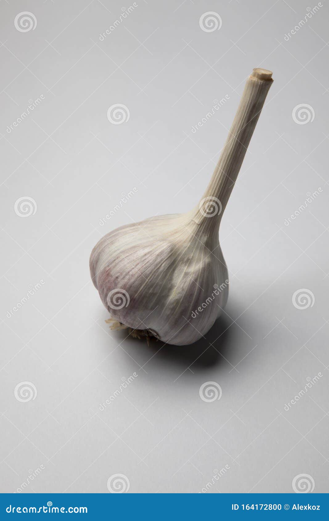Garlic on White Background. Single Garlic, Close-up Stock Photo - Image ...