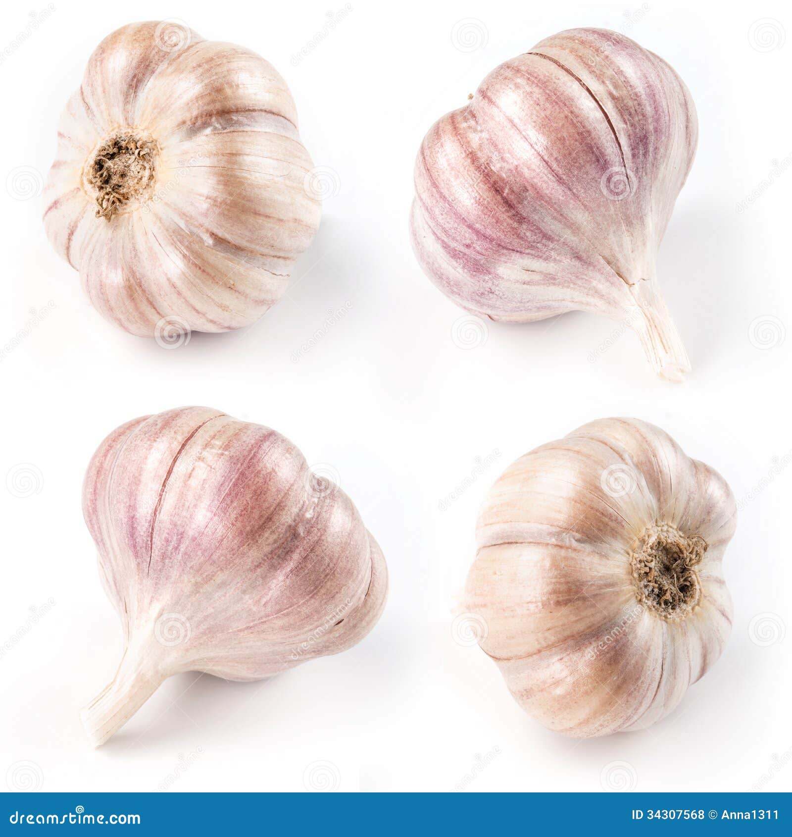 Garlic isolated on white. stock photo. Image of bulb - 34307568