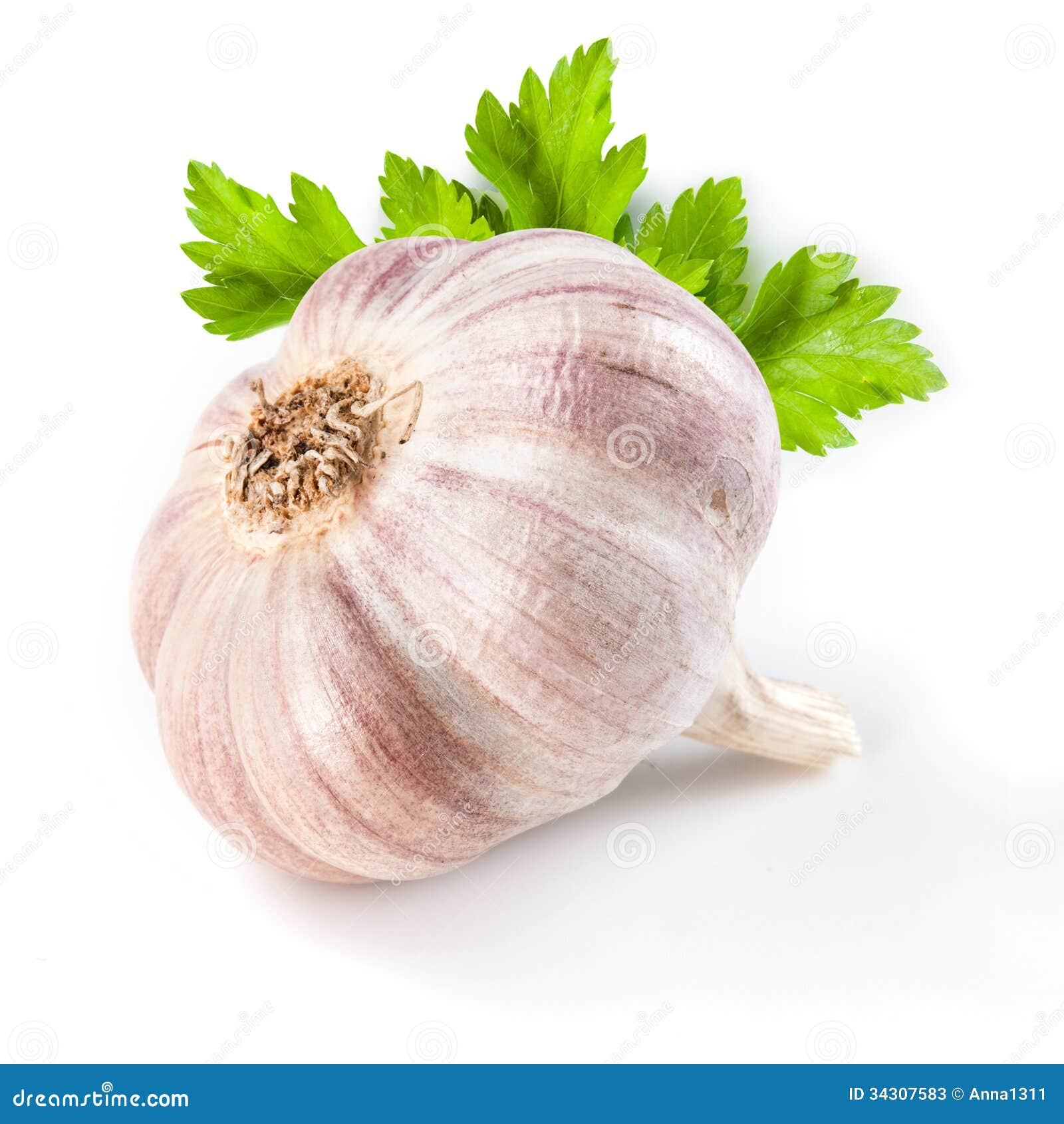 Garlic isolated on white. stock image. Image of white - 34307583