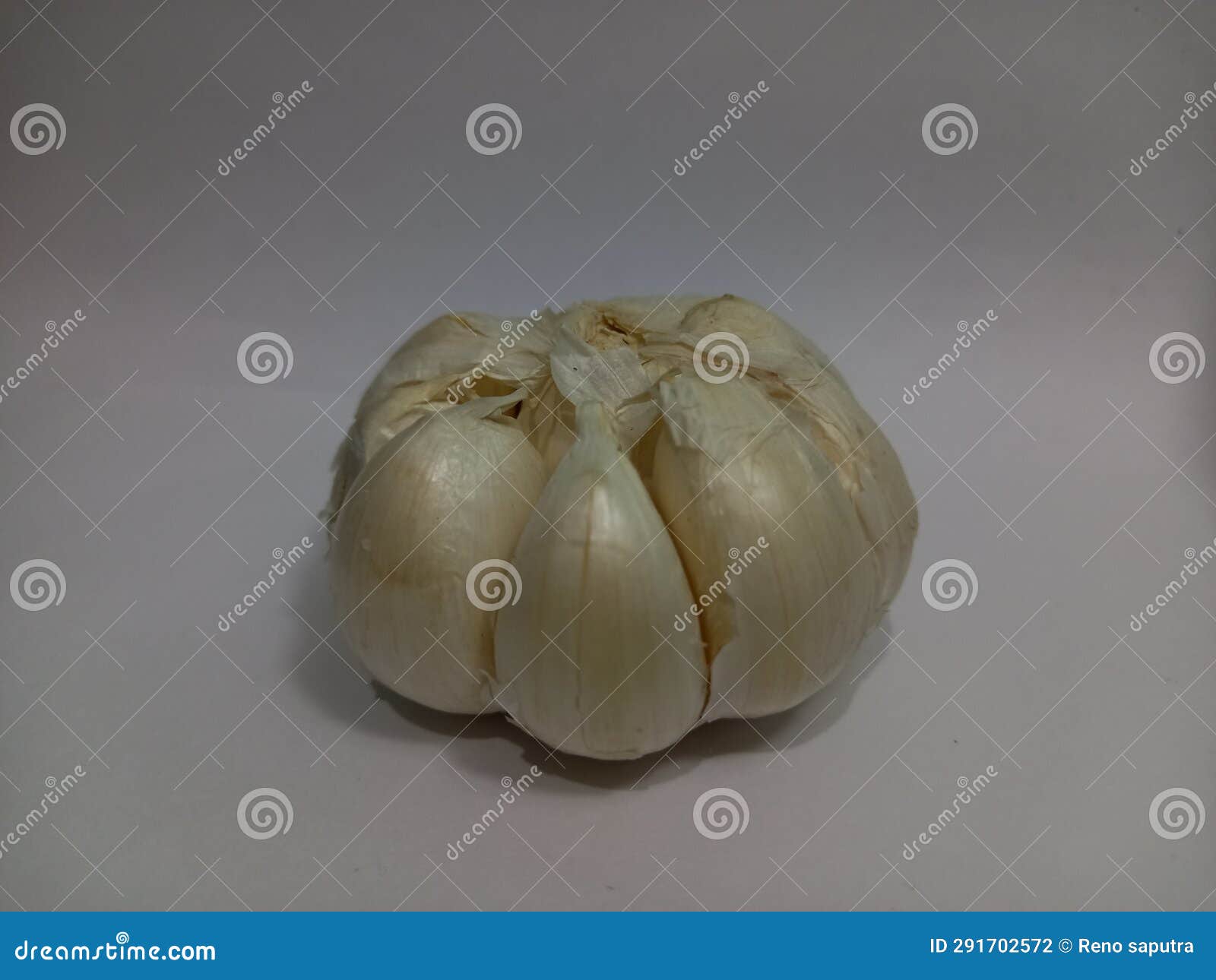 Garlic for kitchen use stock photo. Image of eating - 291702572
