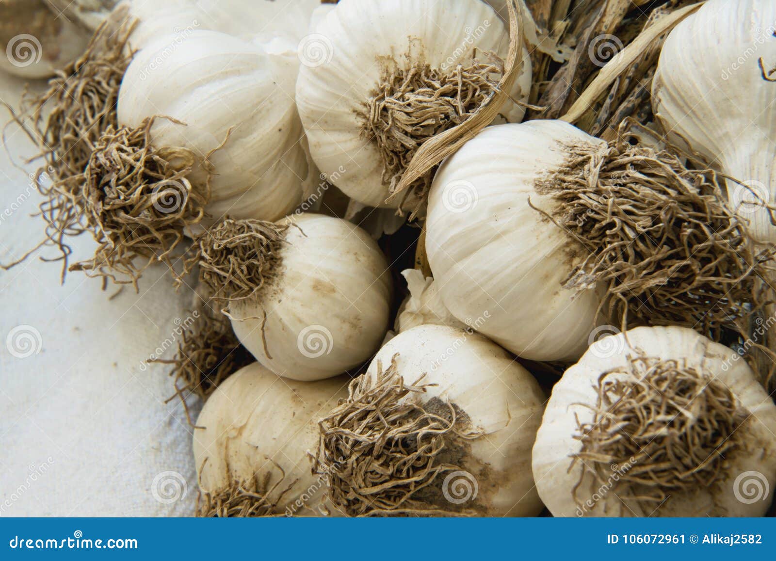 Garlic - Natural Antibacterial Stock Image - Image of garlic, healthy ...