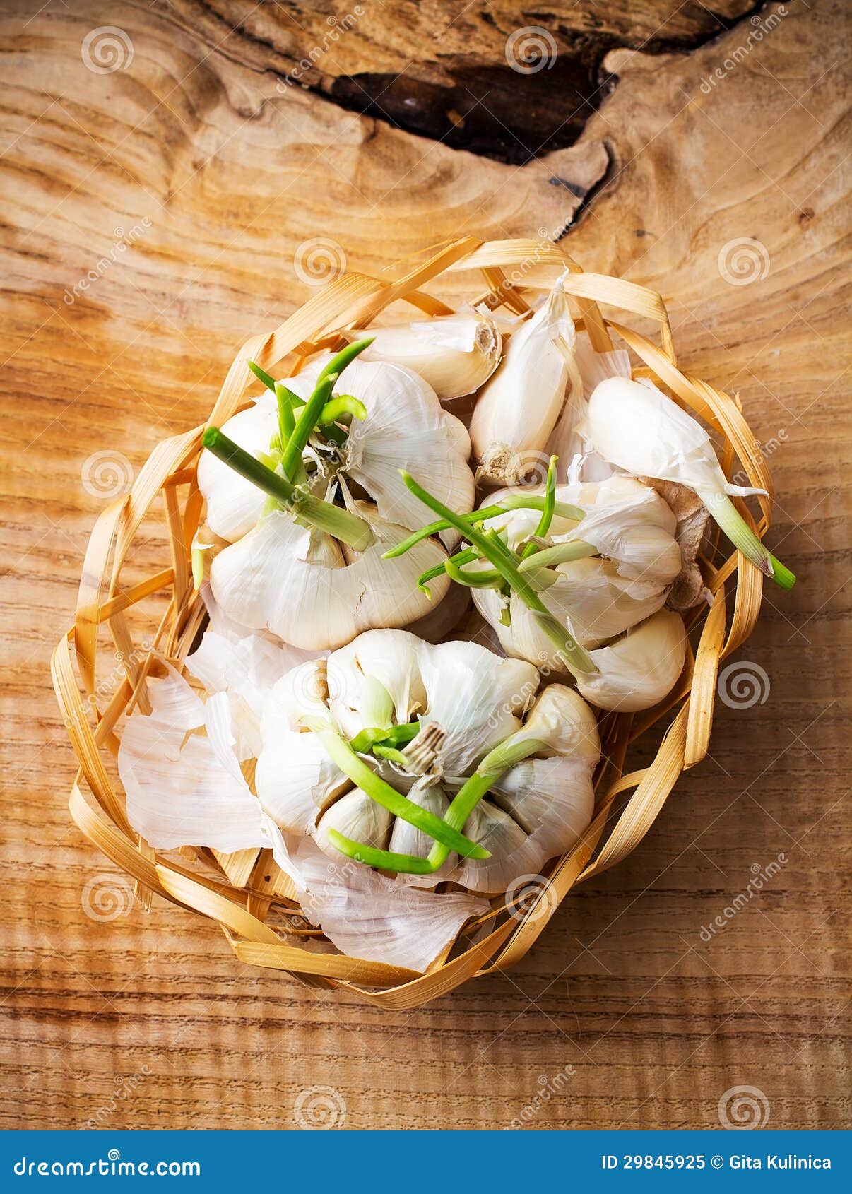 Garlic. stock image. Image of healthy, harvesting, foods - 29845925