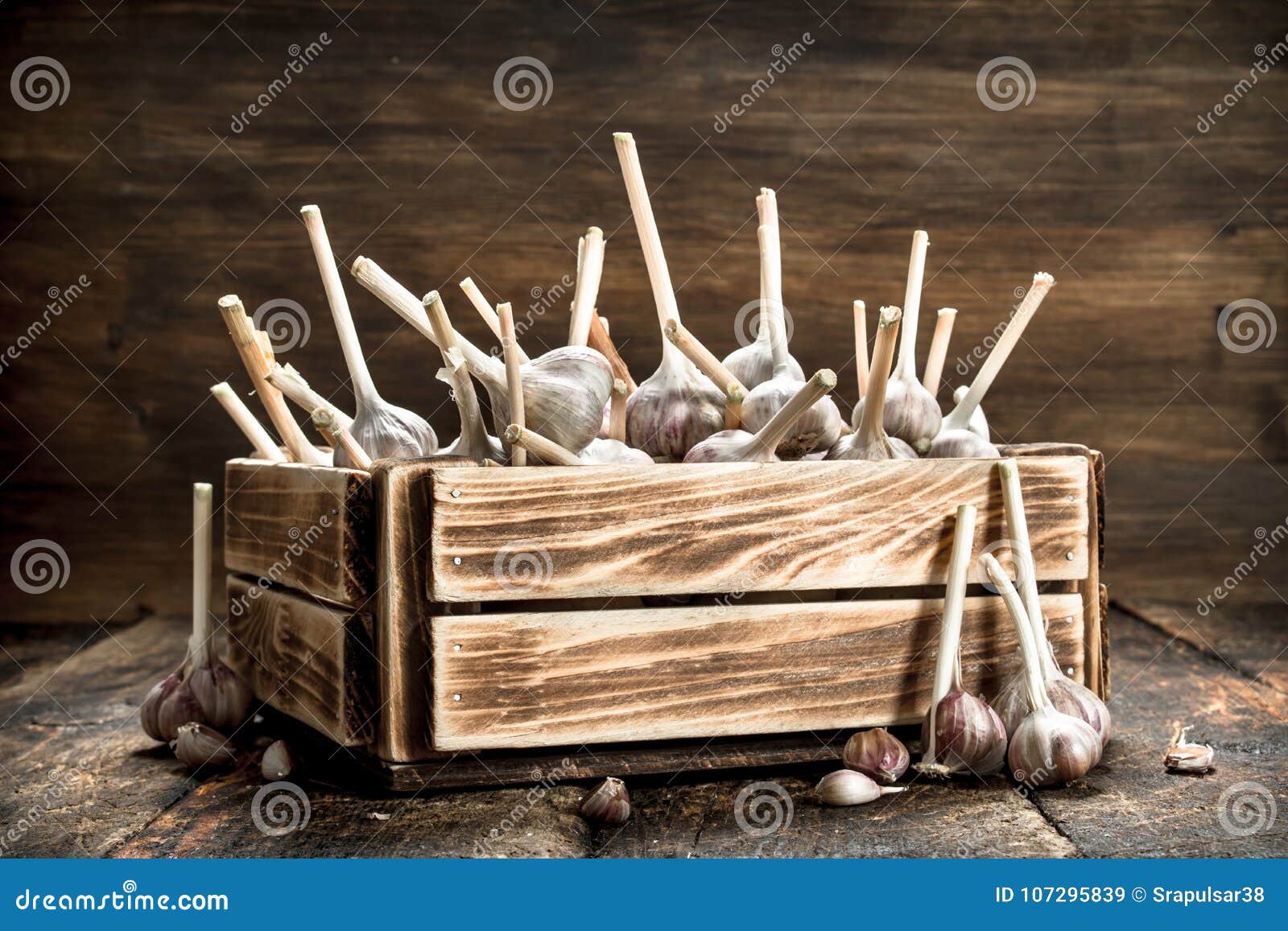 Garlic in an old box. stock image. Image of agriculture - 107295839