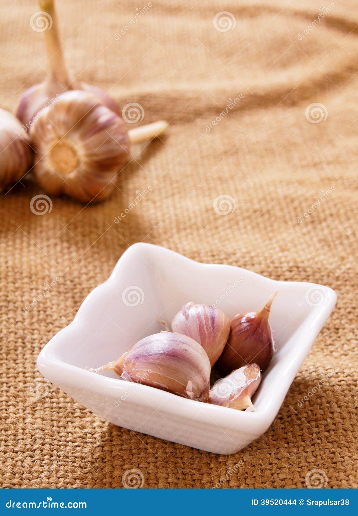 Garlic . stock photo. Image of burlap, fabric, health - 39520444