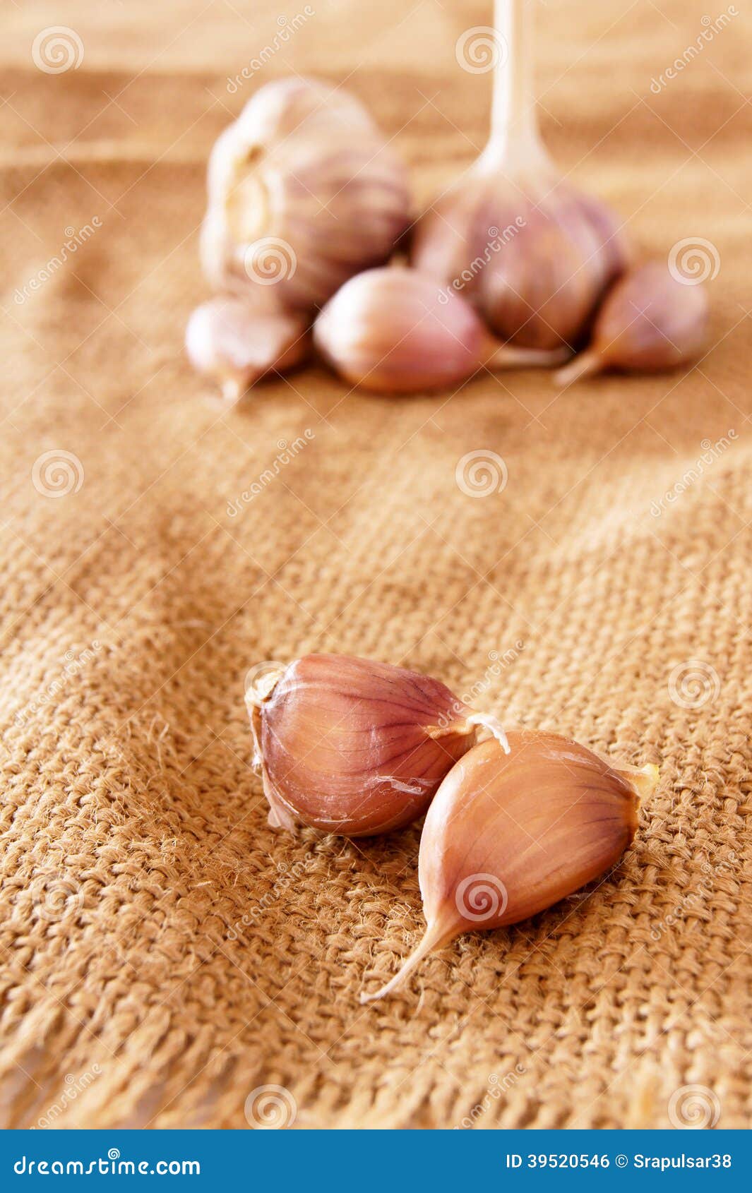 Garlic . stock photo. Image of head, fresh, natural, closeup - 39520546