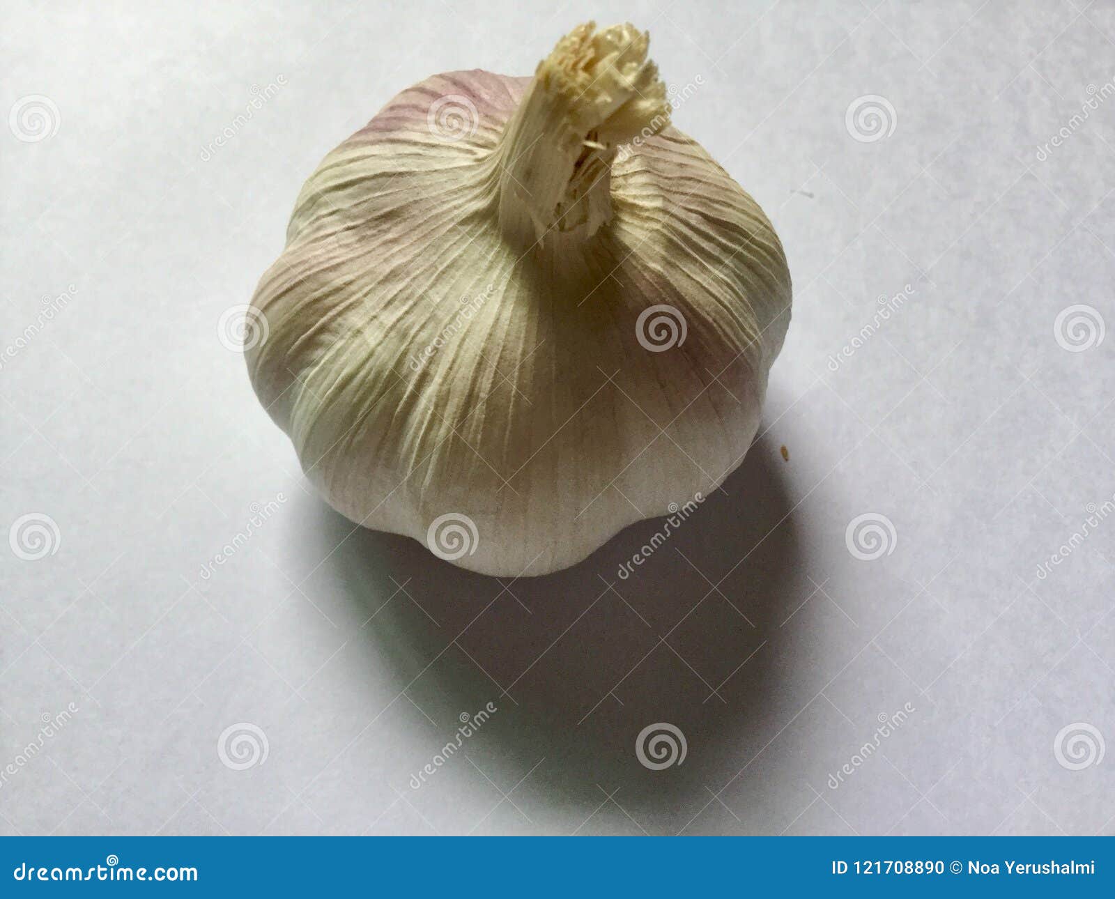 Garlic. Organic. stock photo. Image of garden, fresh - 121708890