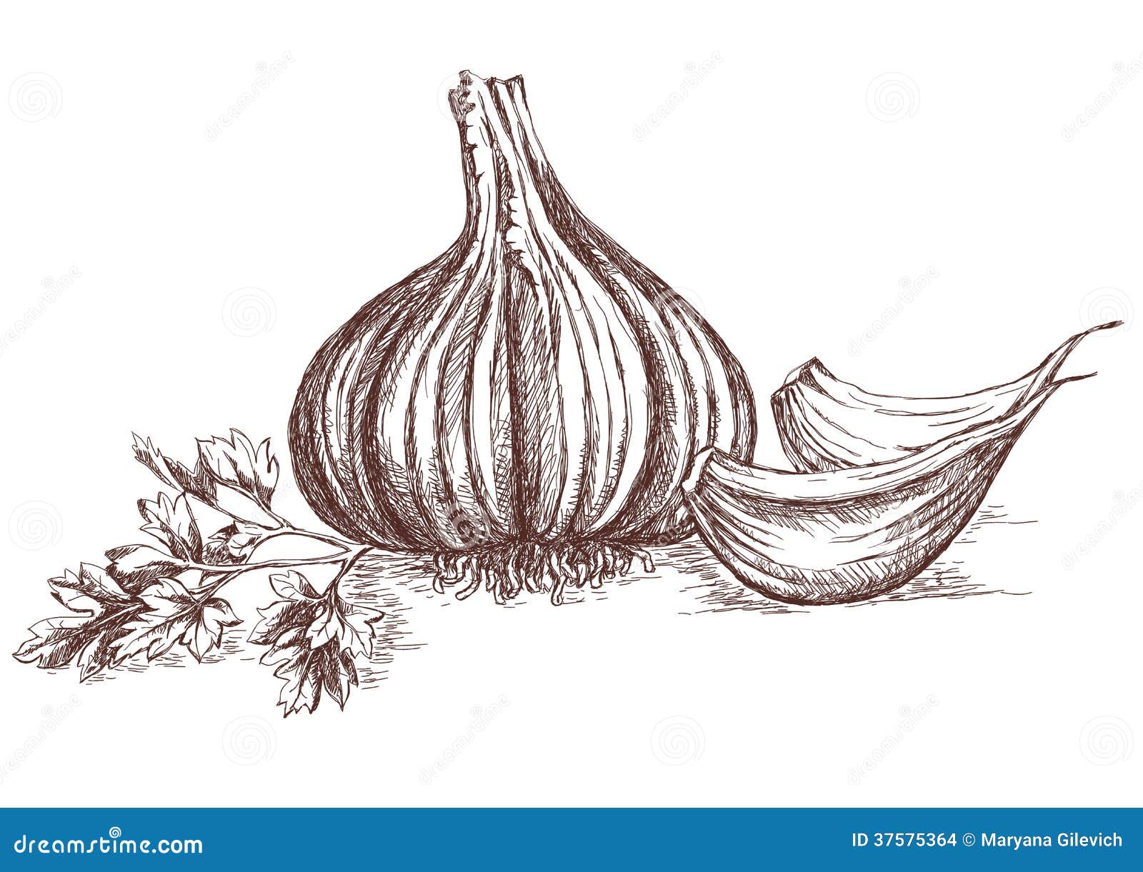 Transparent Objects Drawing