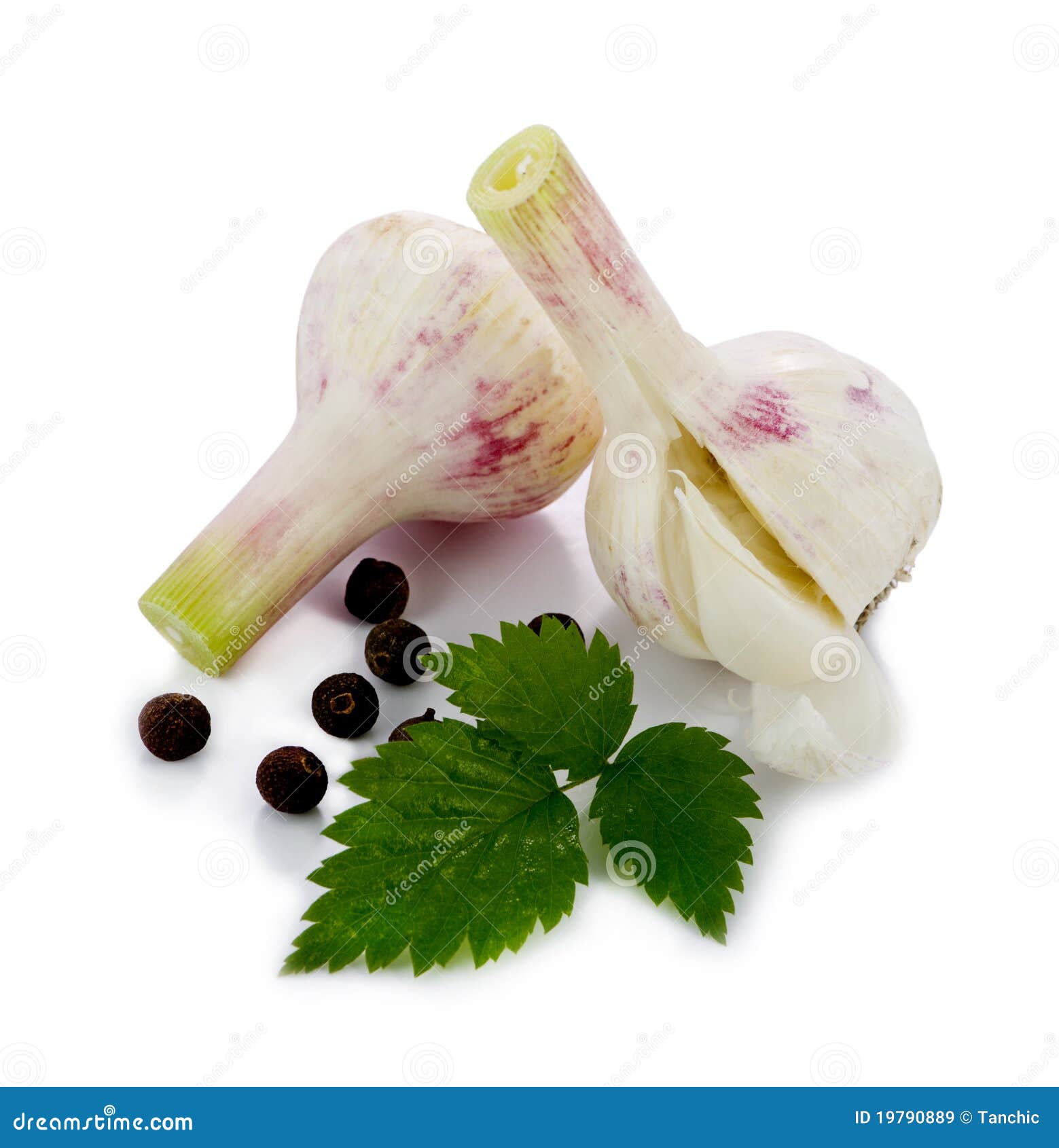 Garlic with a pepper stock image. Image of white, object - 19790889