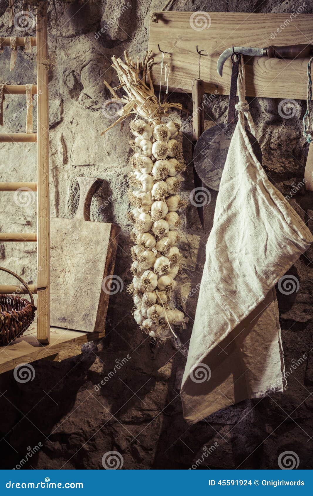 Garlic stock photo. Image of italian, stilllife, medicine - 45591924