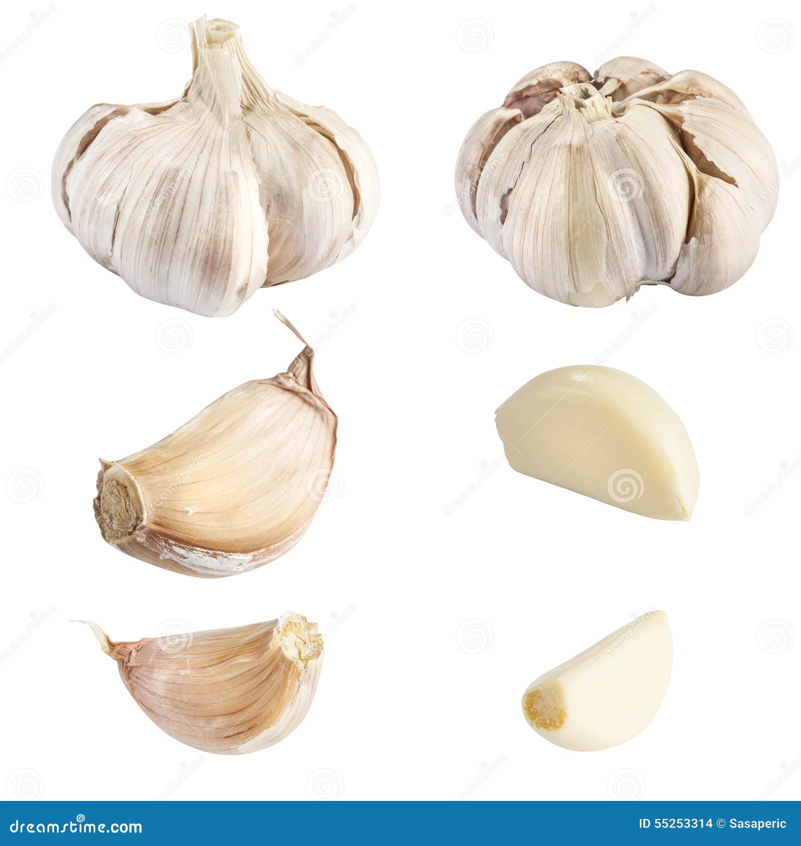 Garlic pieces isolated stock photo. Image of condiment - 55253314
