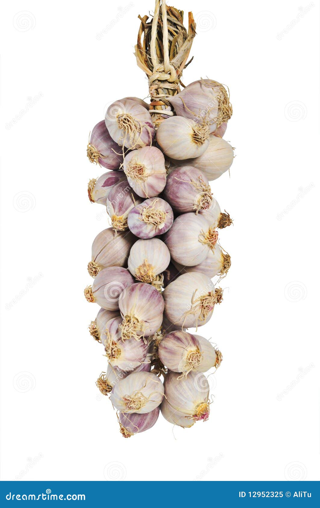 Garlic plait stock image. Image of healthy, food, garlic - 12952325