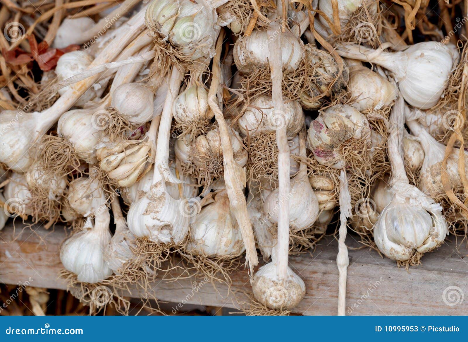 Garlic pods stock image. Image of food, home, ingredients - 10995953