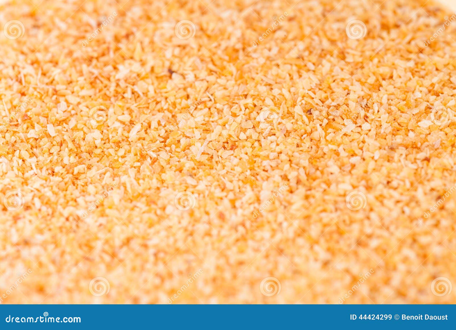 Garlic Powder Texture stock image. Image of organic, macro - 44424299