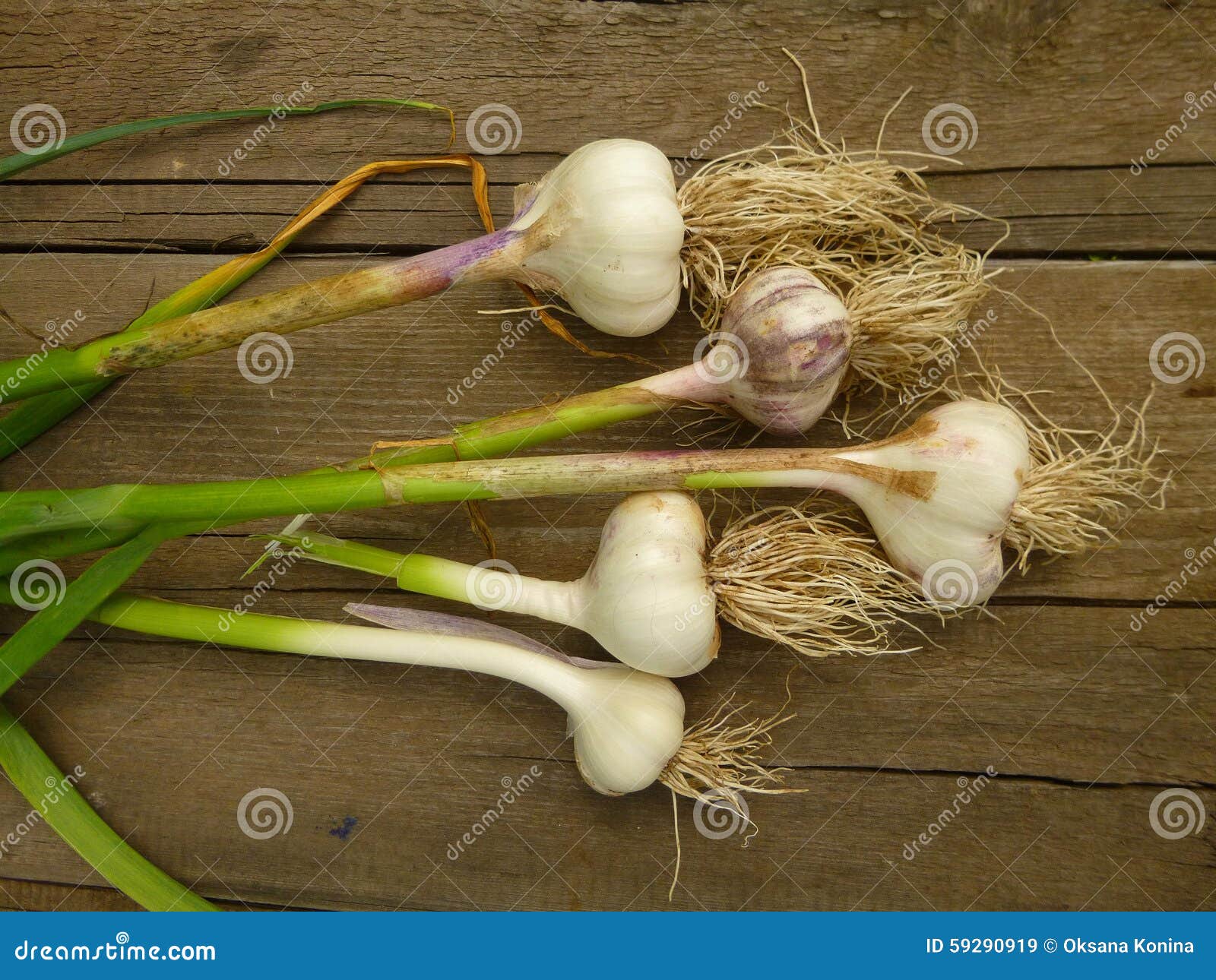 Garlic on the raw wood stock image. Image of vegetables - 59290919