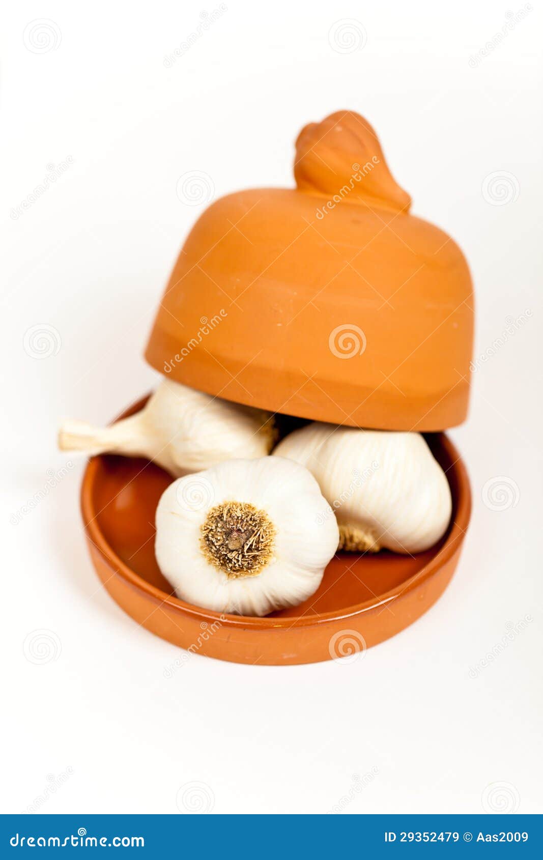 Garlic Roaster stock image. Image of aromatic, vitamins - 29352479