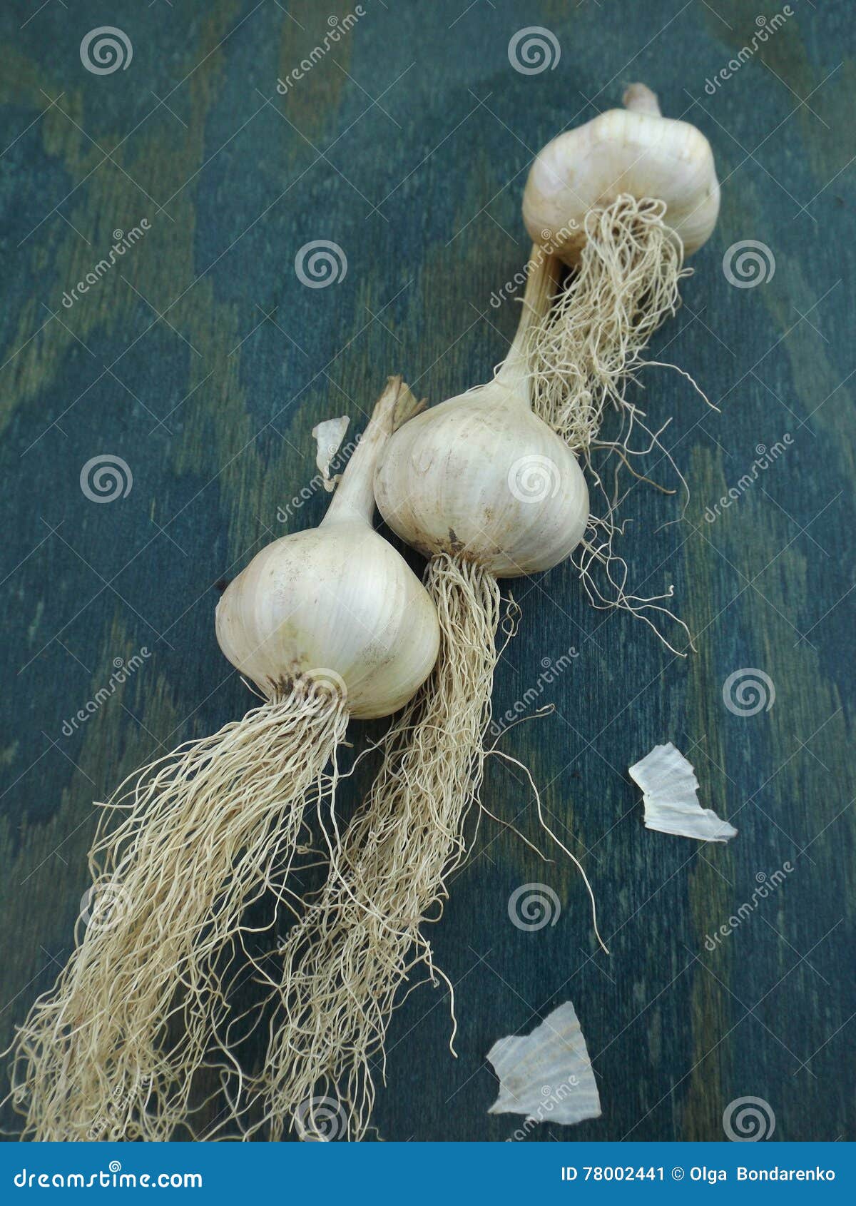 Garlic stock image. Image of wegetarian, roots, background - 78002441