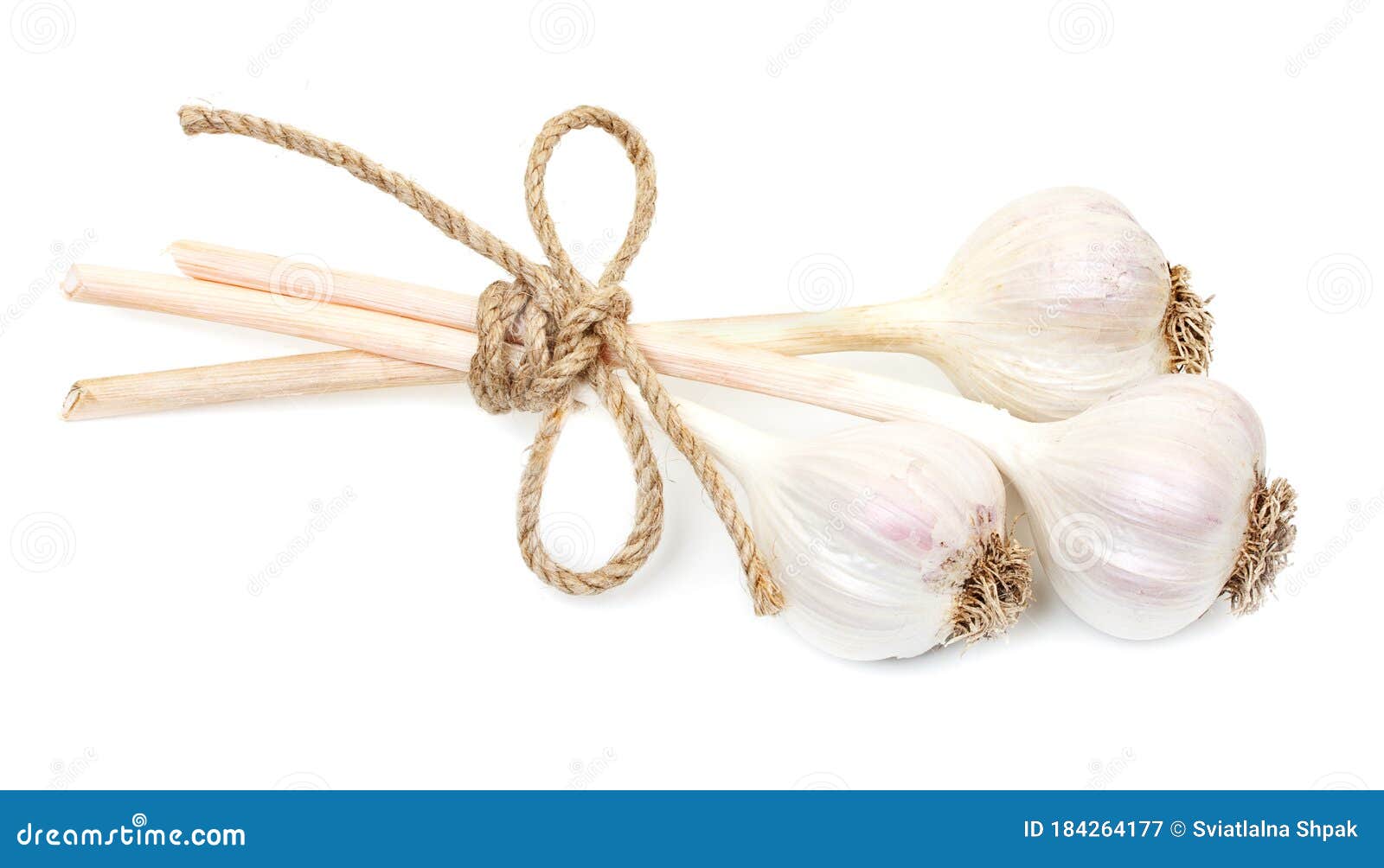 Garlic with a Rope Isolated on a White Stock Image - Image of nature ...