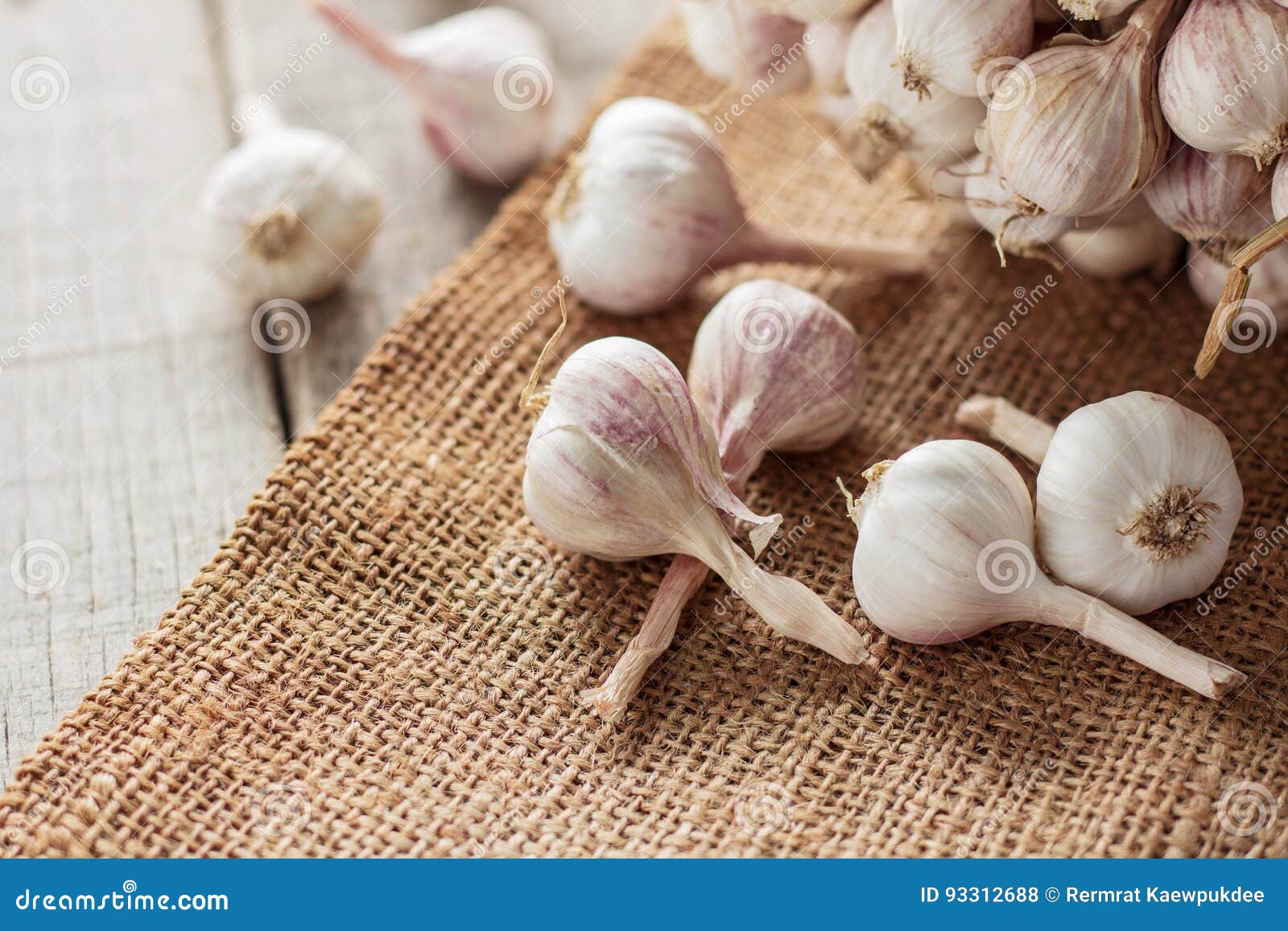 Garlic on sack. stock photo. Image of healthy, kitchen - 93312688
