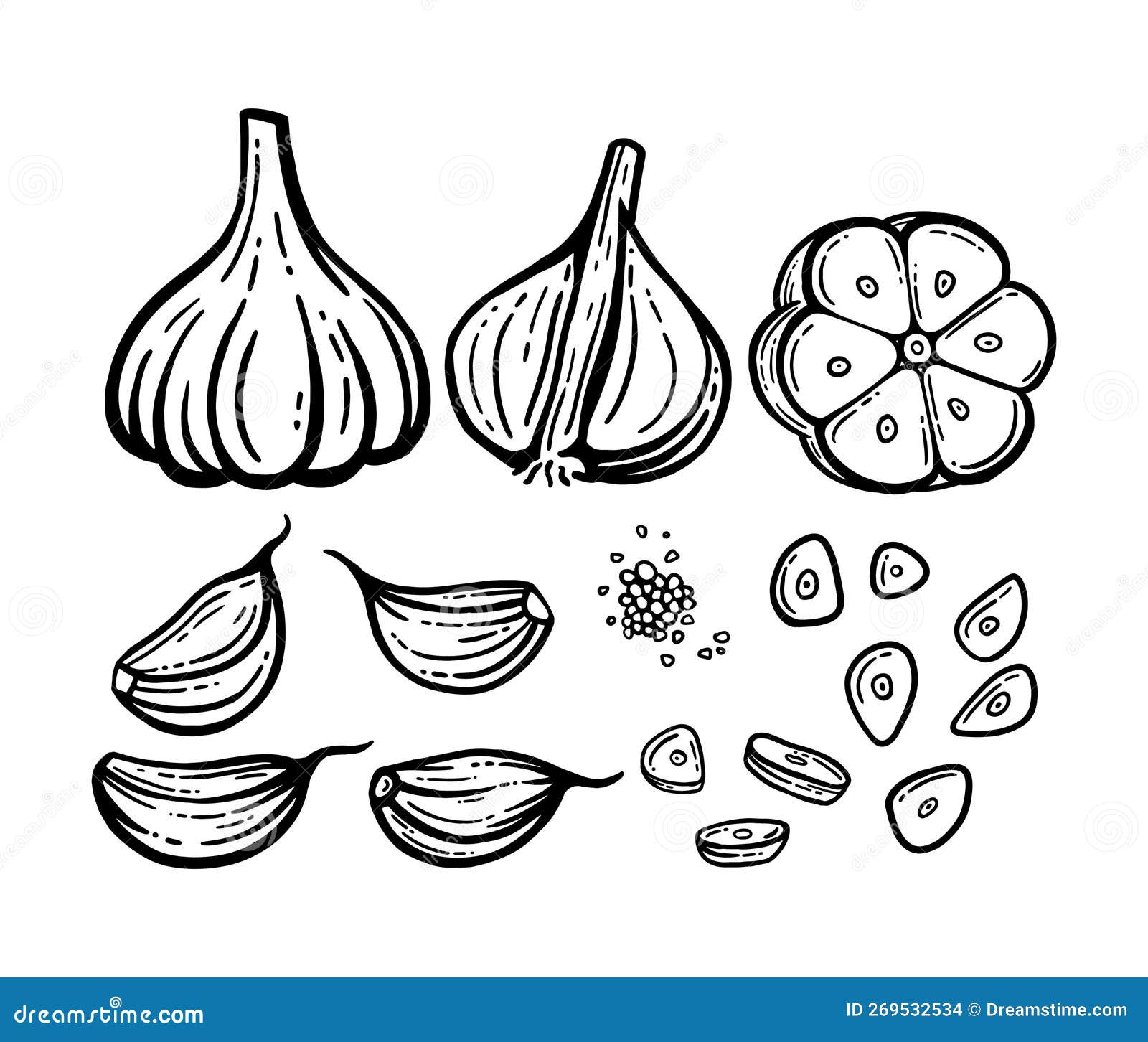 Garlic Set. Hand Drawn Illustrations. Vector Chopped Garlic, Seeds ...