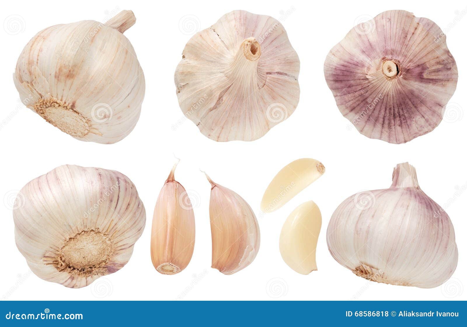 6,459 Garlic Set Isolated Stock Photos - Free & Royalty-Free Stock ...