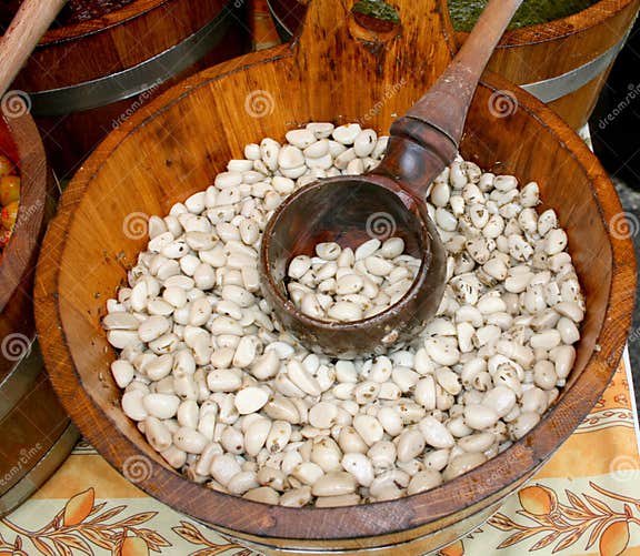 Garlic spice stock photo. Image of clove, bunch, smelly - 2120814