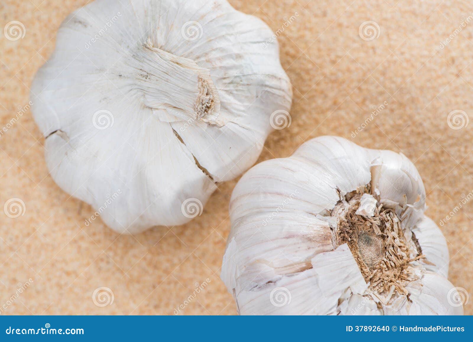 Garlic Spice stock photo. Image of flavour, herbs, macro - 37892640