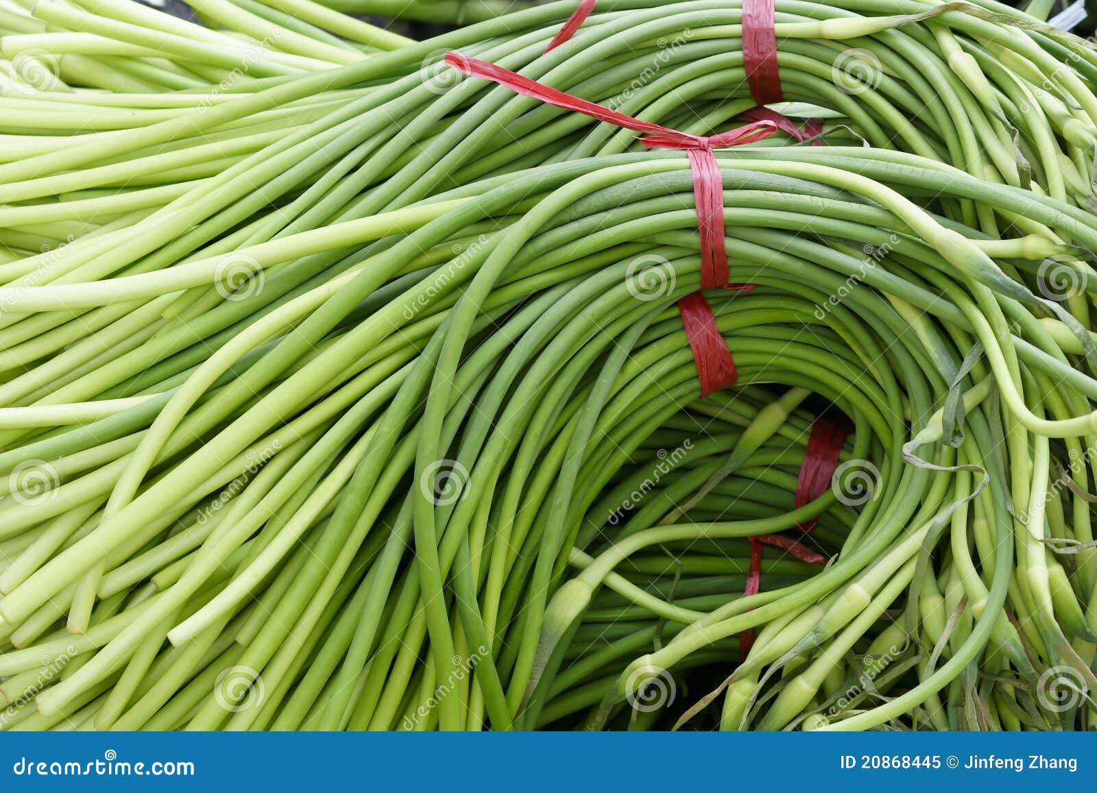 Garlic sprout stock image. Image of background, backgrounds - 20868445