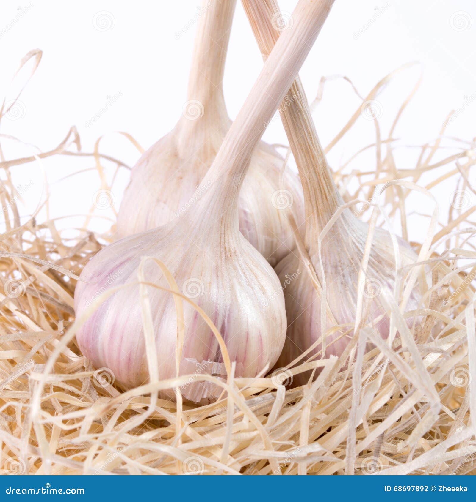 Garlic in Straw on White Background Stock Photo - Image of healthy ...