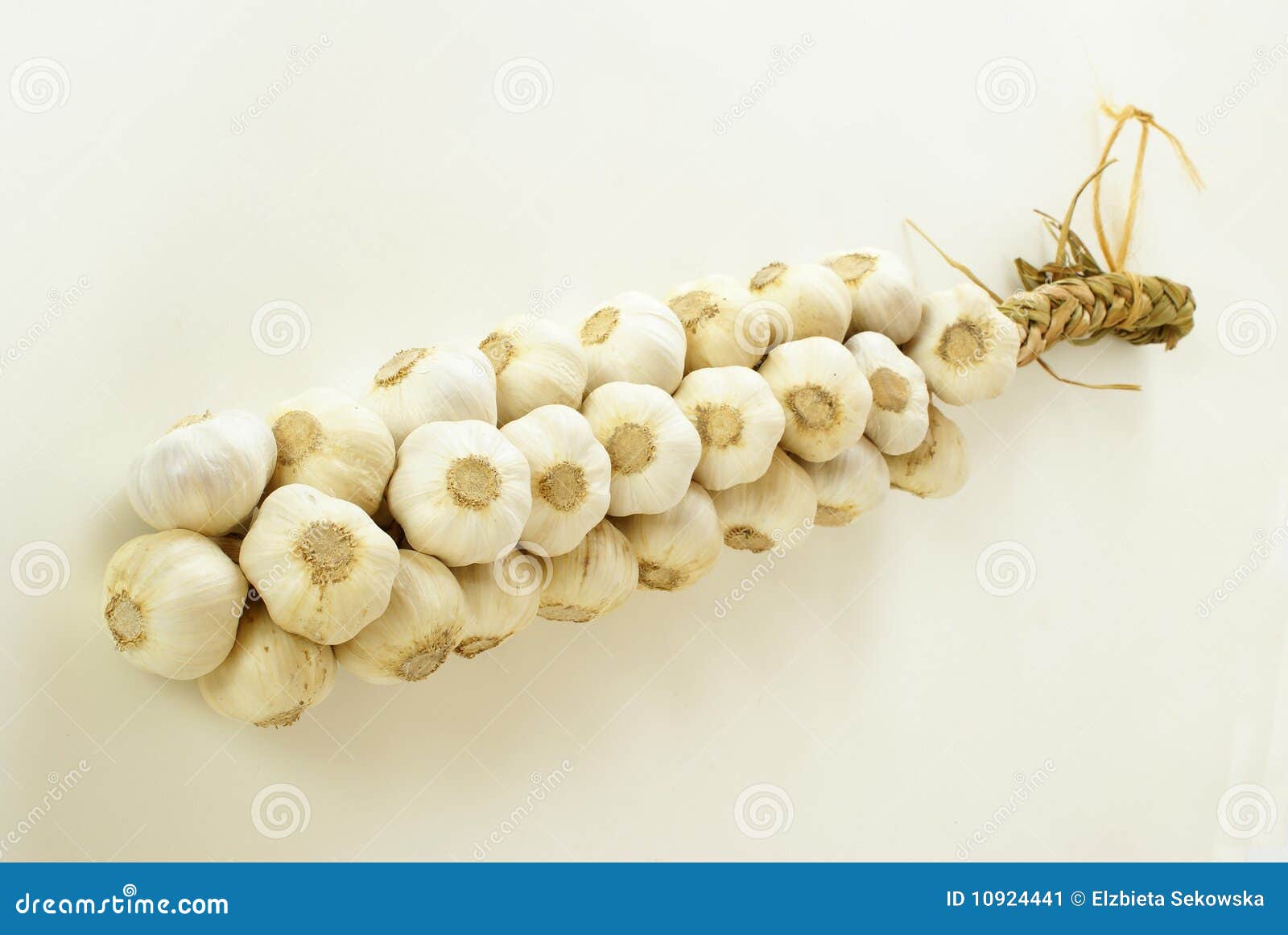 Garlic string stock image. Image of organic, scented - 10924441