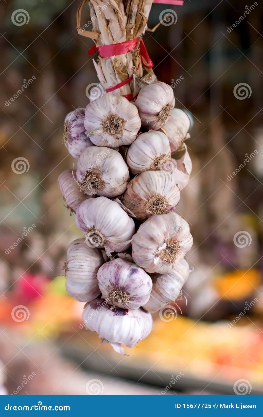 Garlic string stock image. Image of healthy, drinks, vegetarian - 15677725