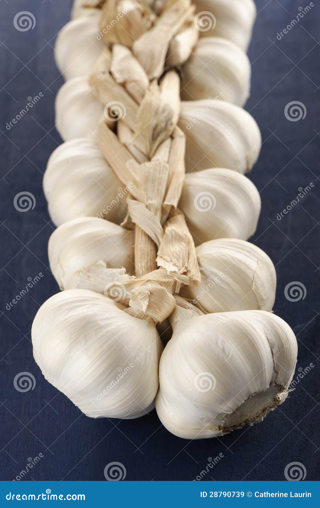 Garlic string stock image. Image of food, eating, white - 28790739