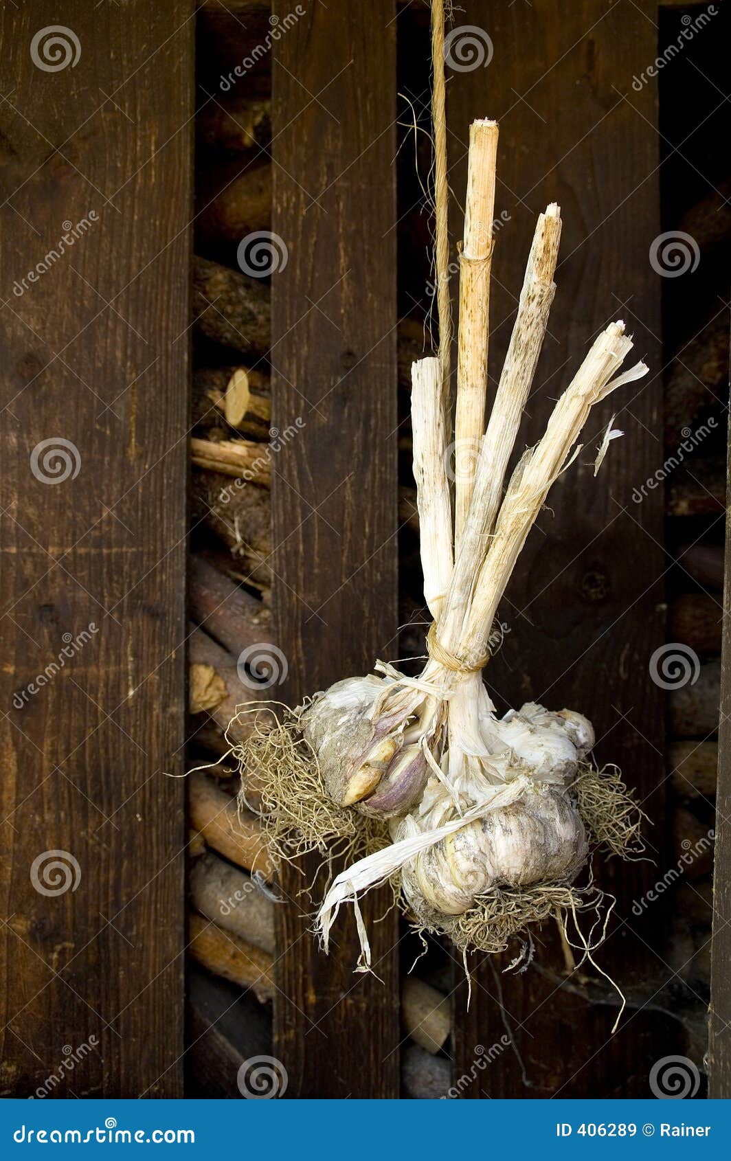 Garlic on a string stock image. Image of ripe, vampire - 406289