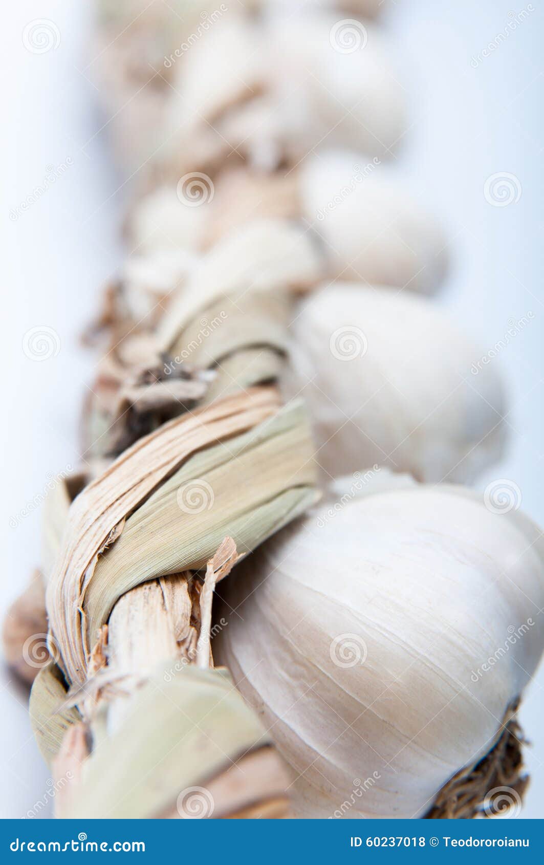 Garlic string details stock photo. Image of cuisine, braided - 60237018