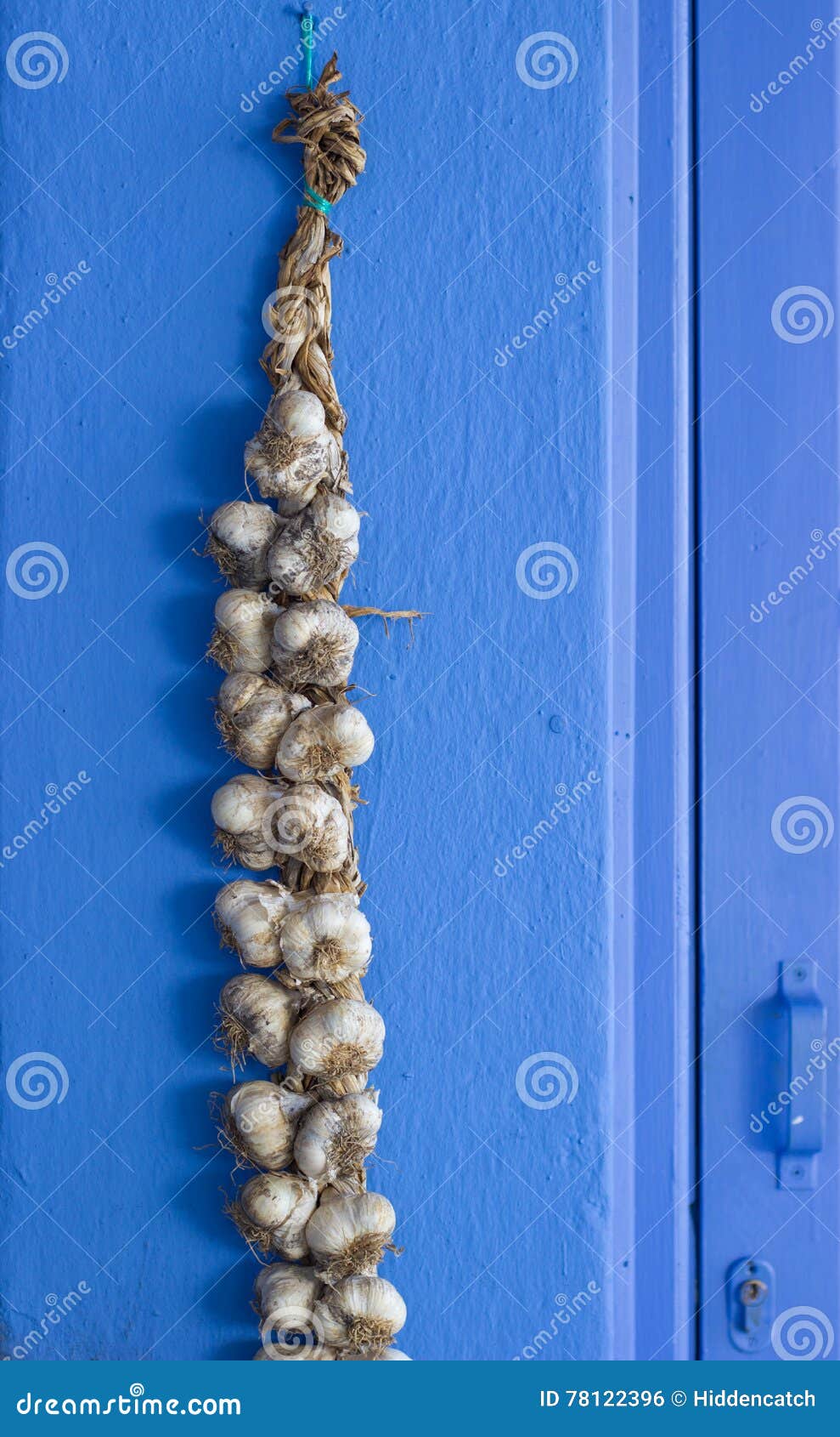 Garlic string stock photo. Image of food, bunch, health - 78122396