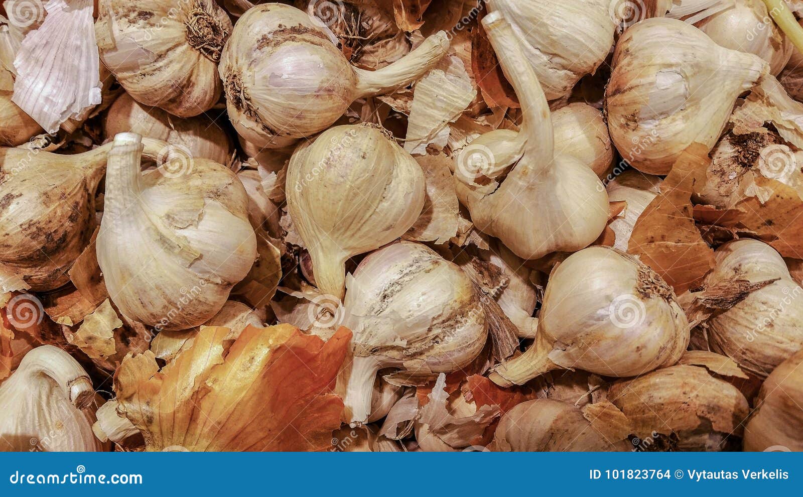 Garlic for Texture Background. Stock Photo - Image of nutrition, cepa ...