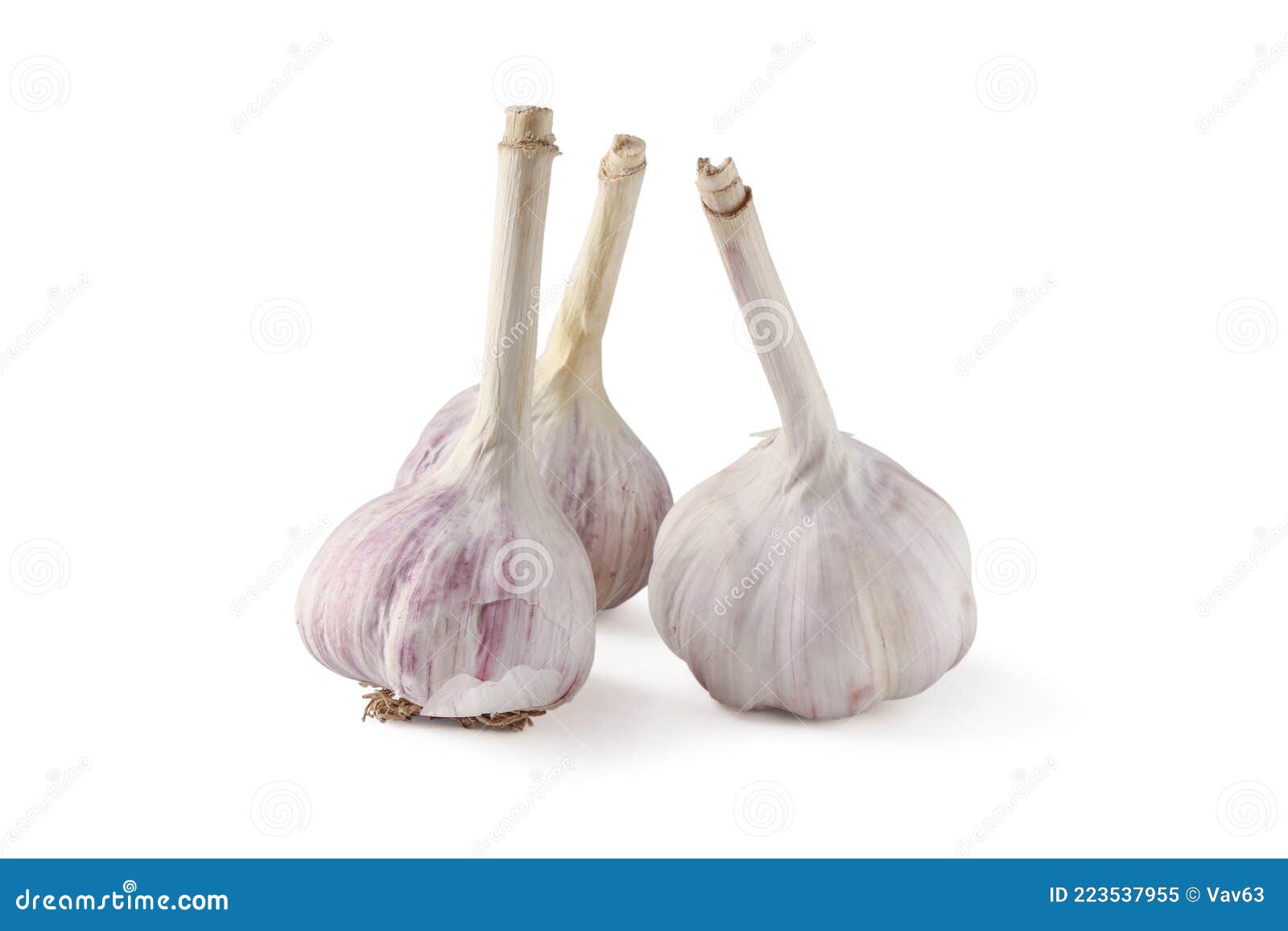 Garlic stock image. Image of gourmet, food, herb, agriculture - 223537955