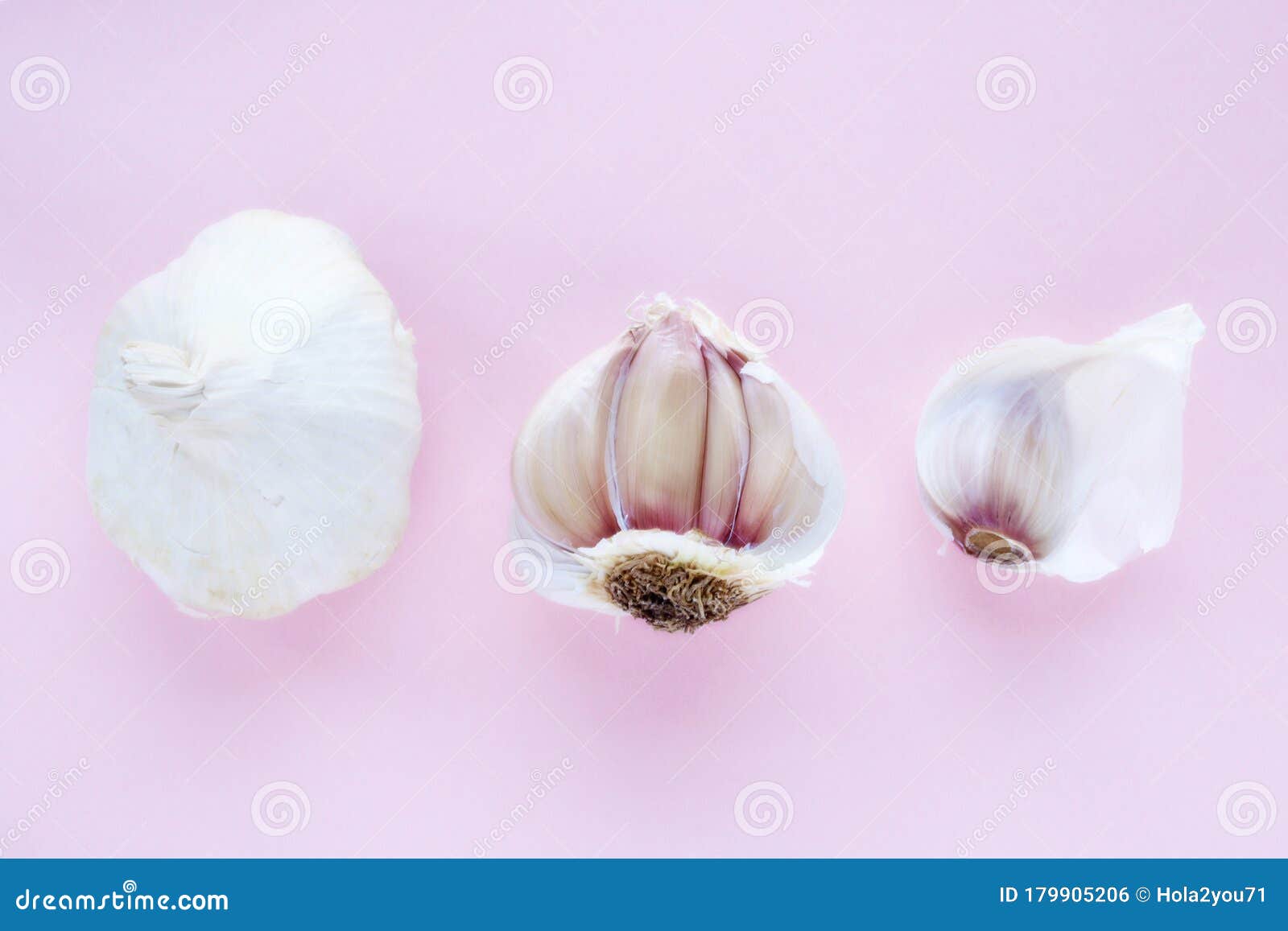 Garlic in pink stock photo. Image of seasoning, spice - 179905206