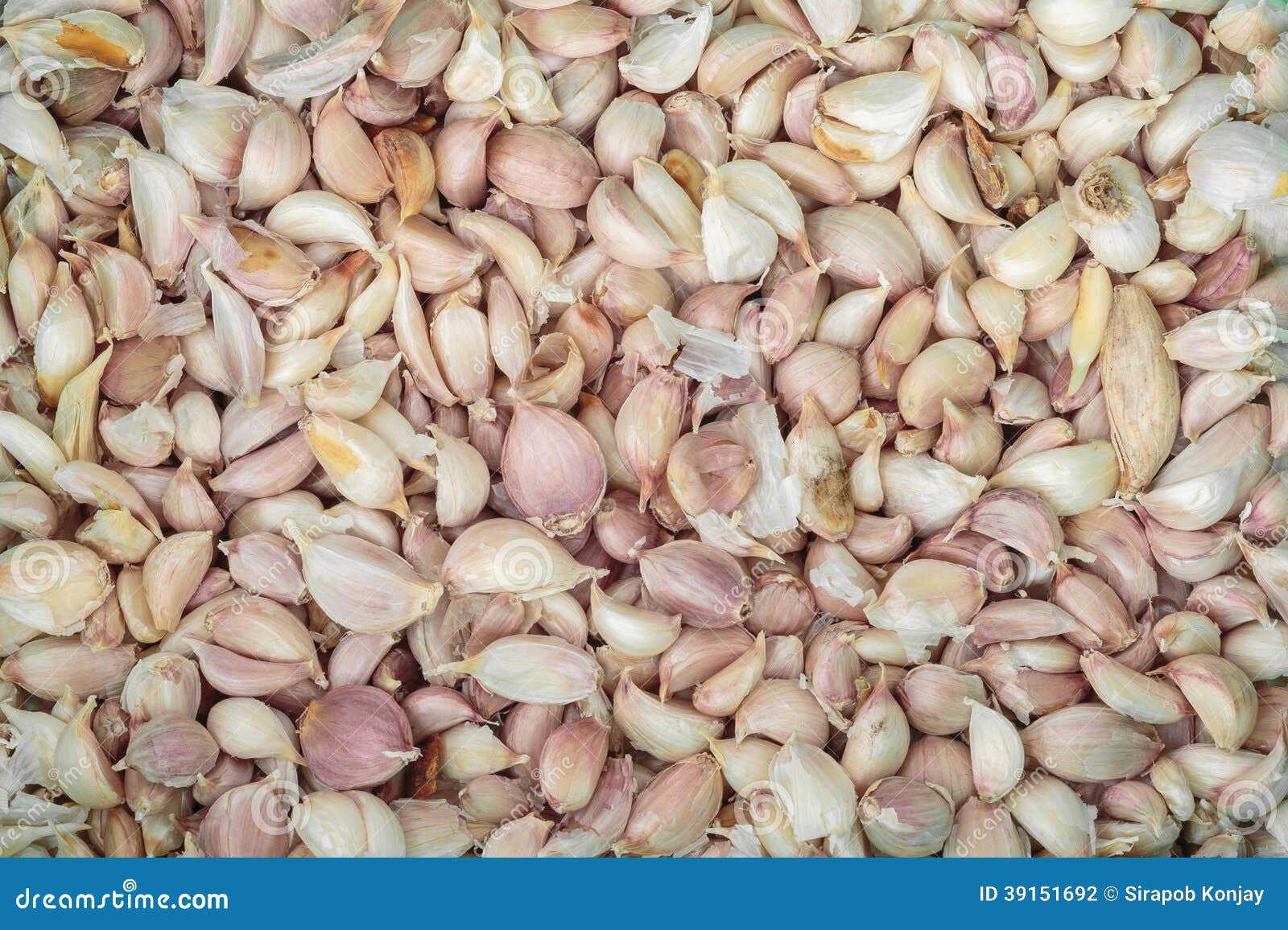 Garlic top view stock photo. Image of organic, eating - 39151692