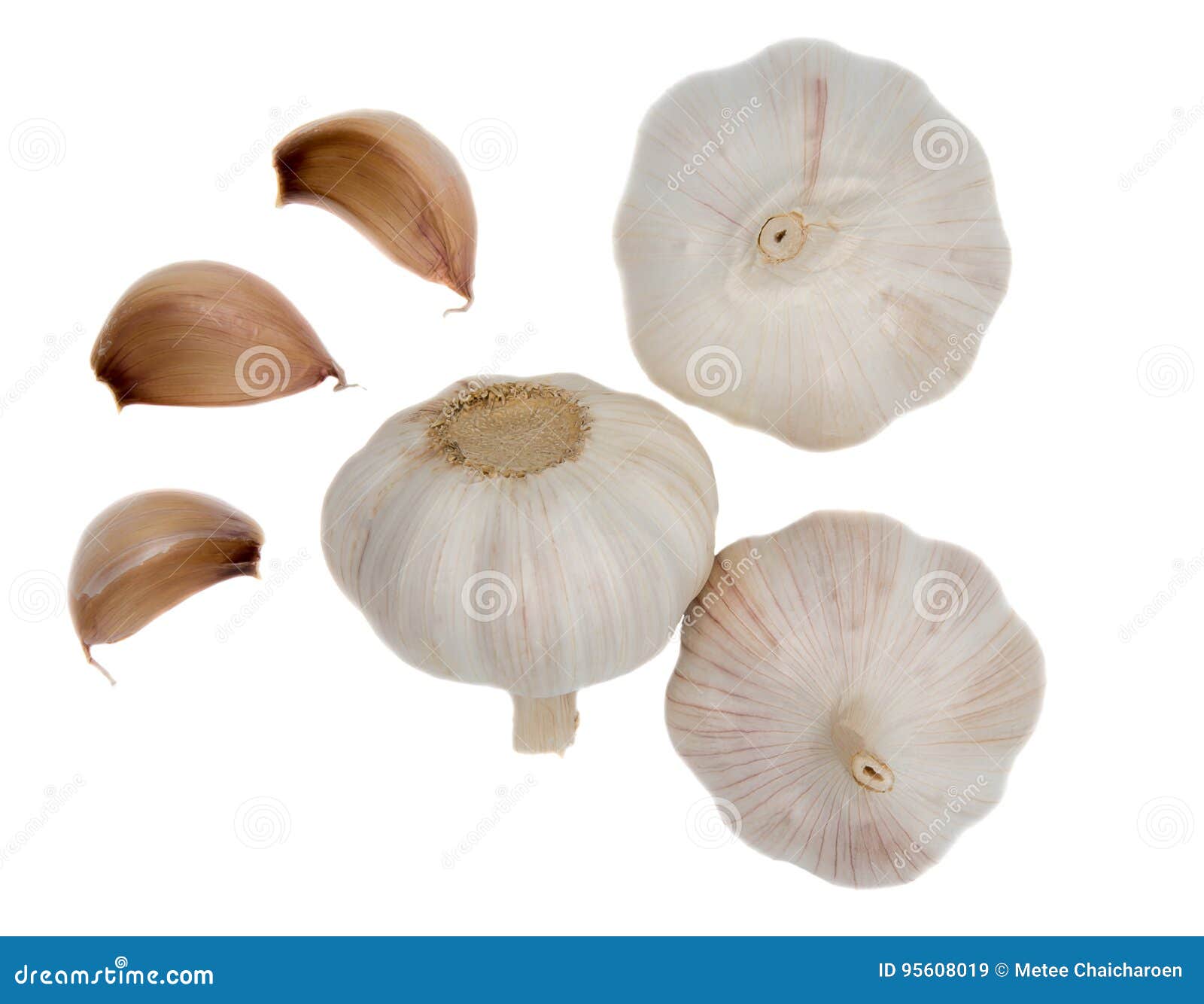 Garlic stock image. Image of healthy, green, spiciness - 95608019