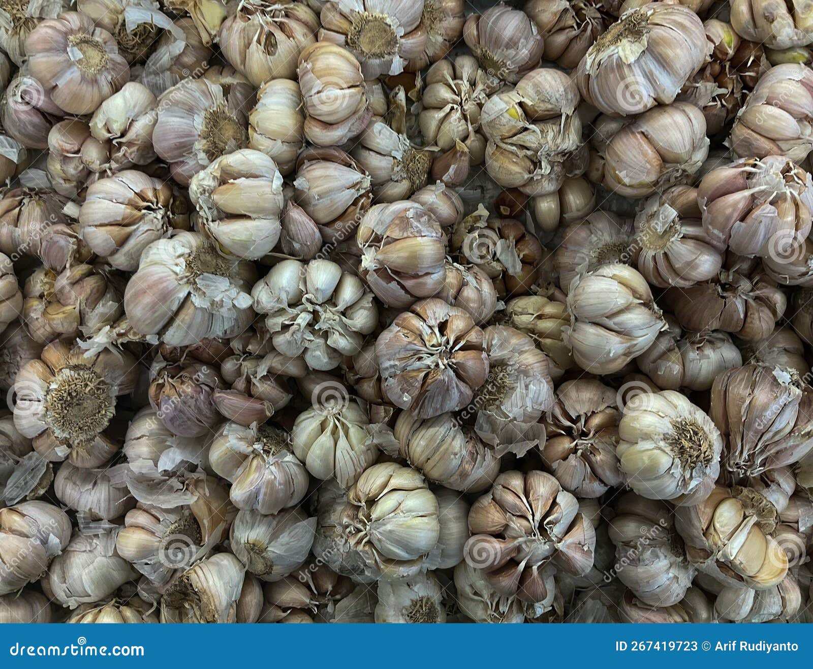 Garlic at Traditional Market in Central Java Stock Image - Image of ...
