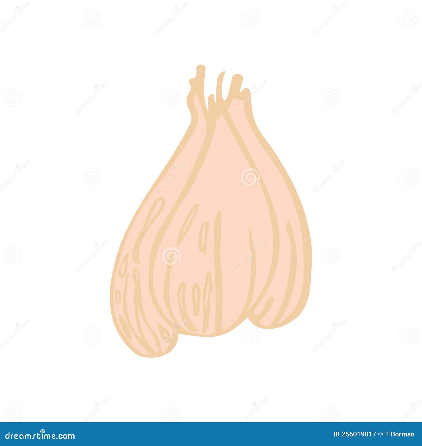 Garlic Vector Isolated Illustration Sketch Stock Vector - Illustration ...