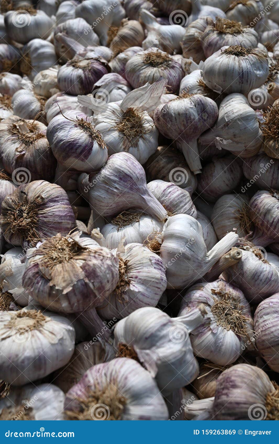 Garlic Vegetables Background Stock Image - Image of food, plant: 159263869