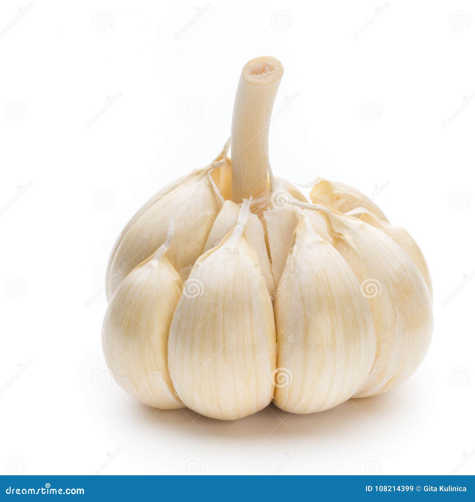 Garlic on the White Background Stock Image - Image of background ...