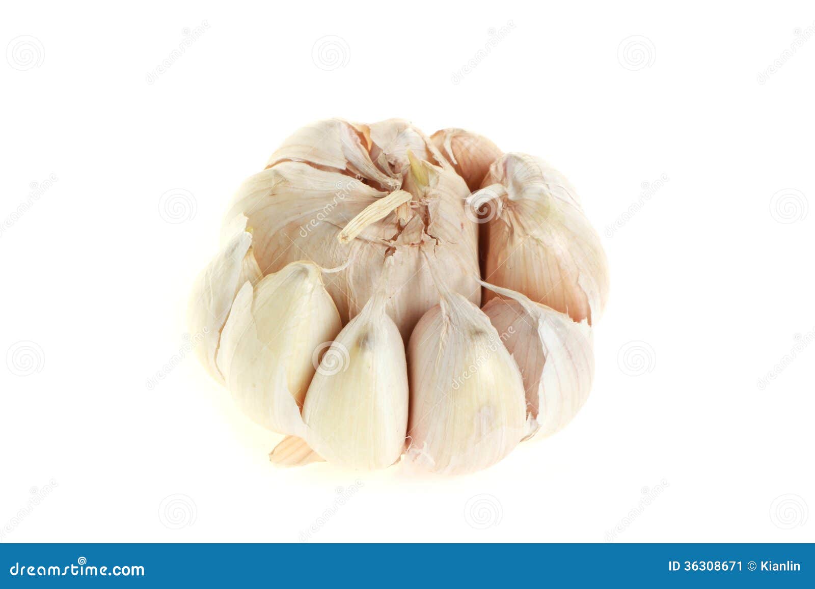 Garlic stock image. Image of gourmet, spice, food, seasoning - 36308671